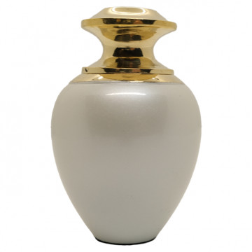 Ánforas para cremación de personas y mascotas Chile precios