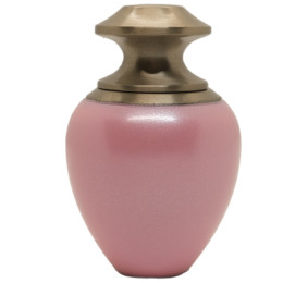 Urnas Chile: Ánforas para cenizas de personas y mascotas